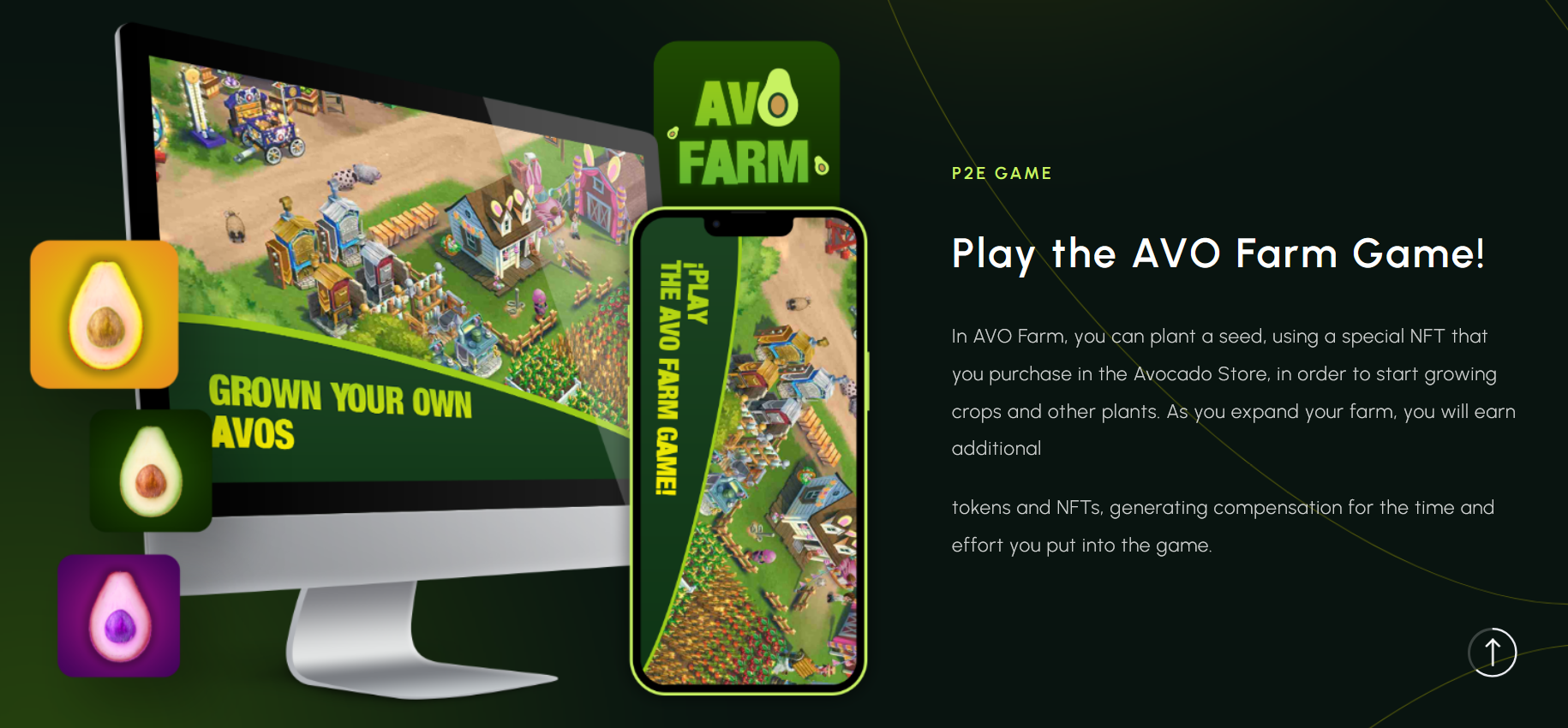 ¿Qué es Avocado (AVO)? Todo lo que quieras en un solo lugar